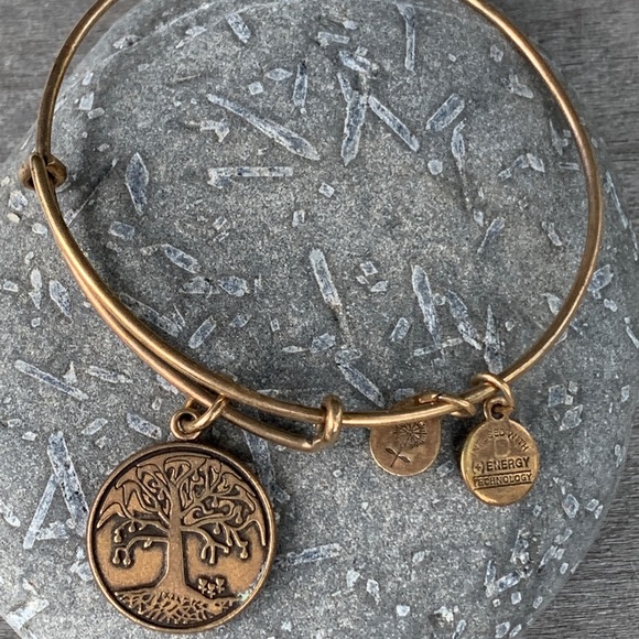 Jewelry | Alex And Ani Tree Of Life Bracelet | Poshmark